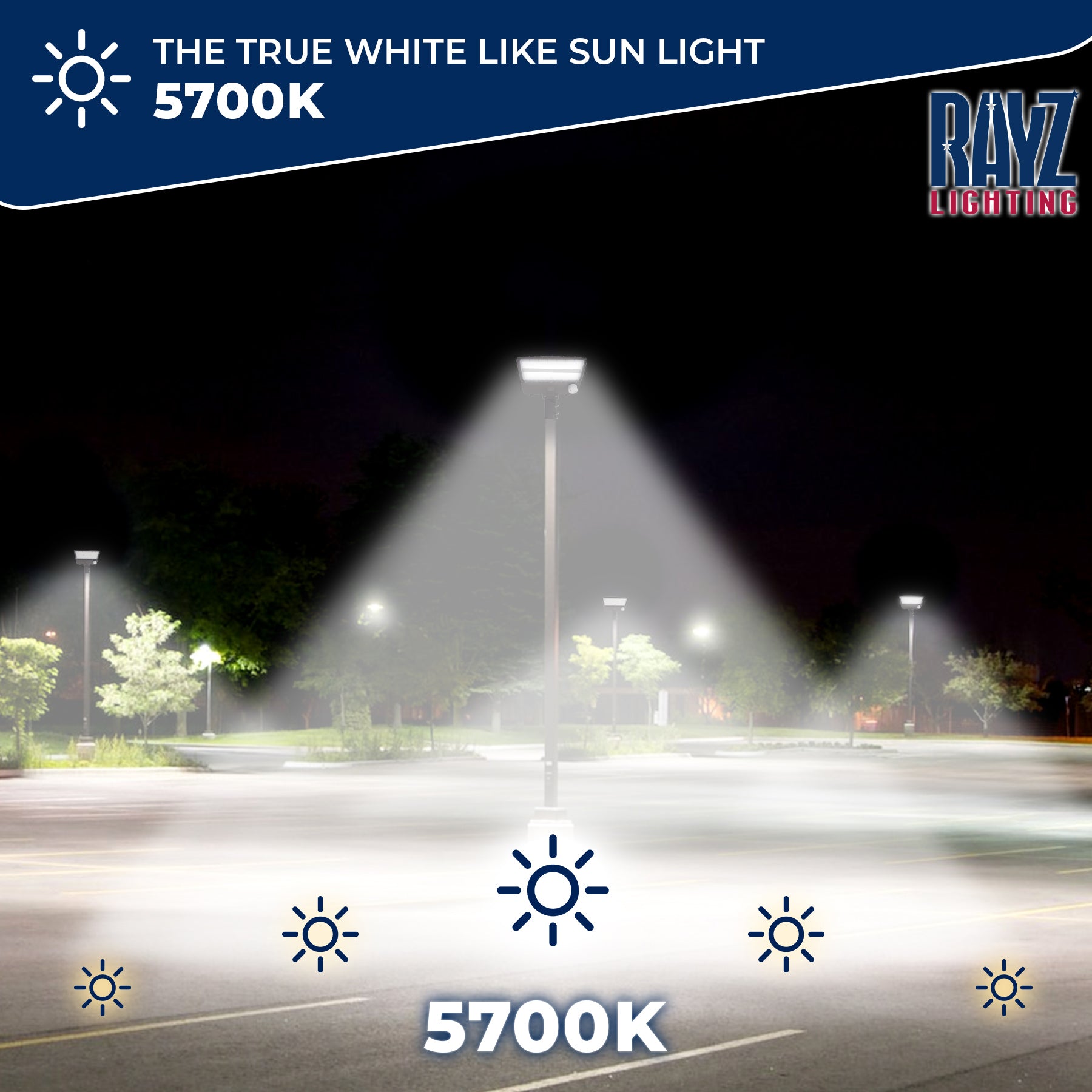 300W Led Shoebox Area Light | Shoebox Parking Lot | Shoebox Street Light